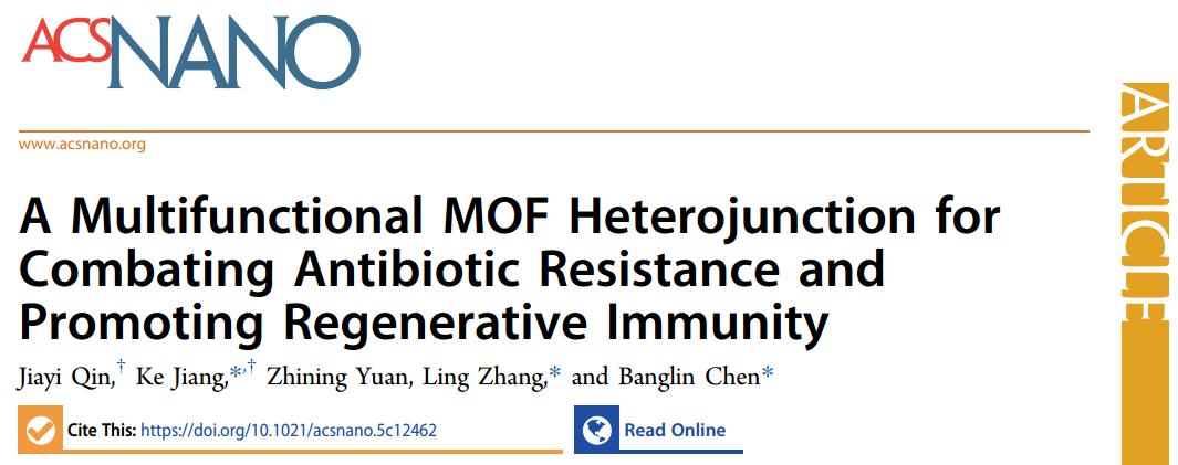 海南大学团队构建多功能MOF异质结，为抗耐药性细菌感染治疗提供新策略-食品科学与工程学院